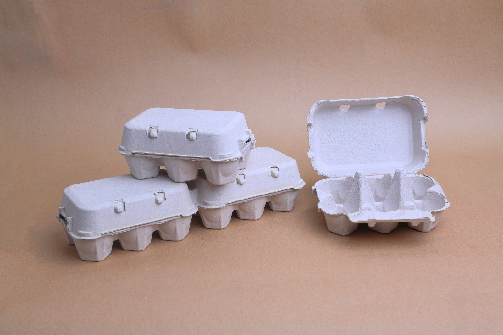 Egg packaging - Primapack